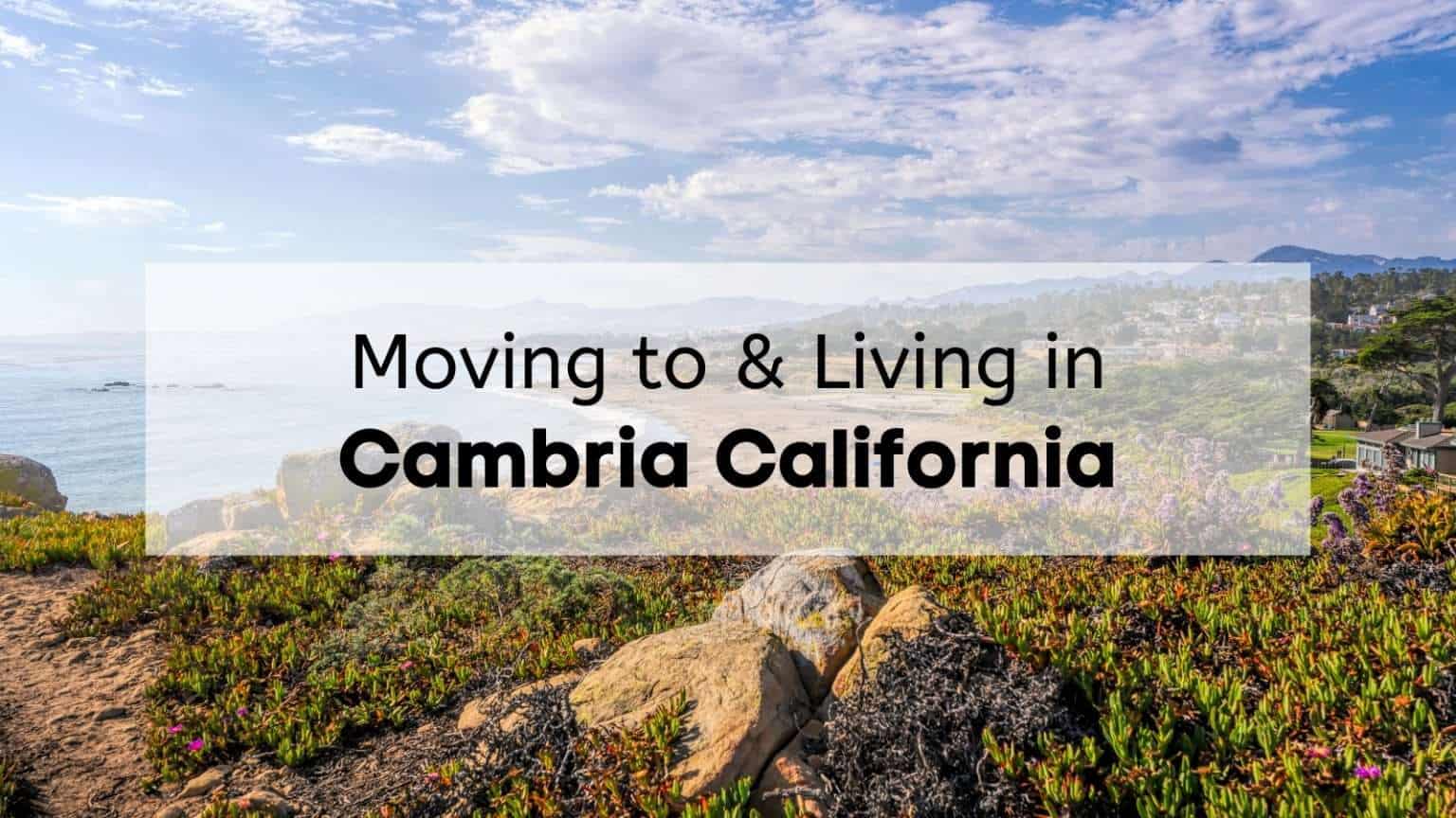 Living in Cambria CA Ultimate Guide 🌊 | What to Know About Moving to ...